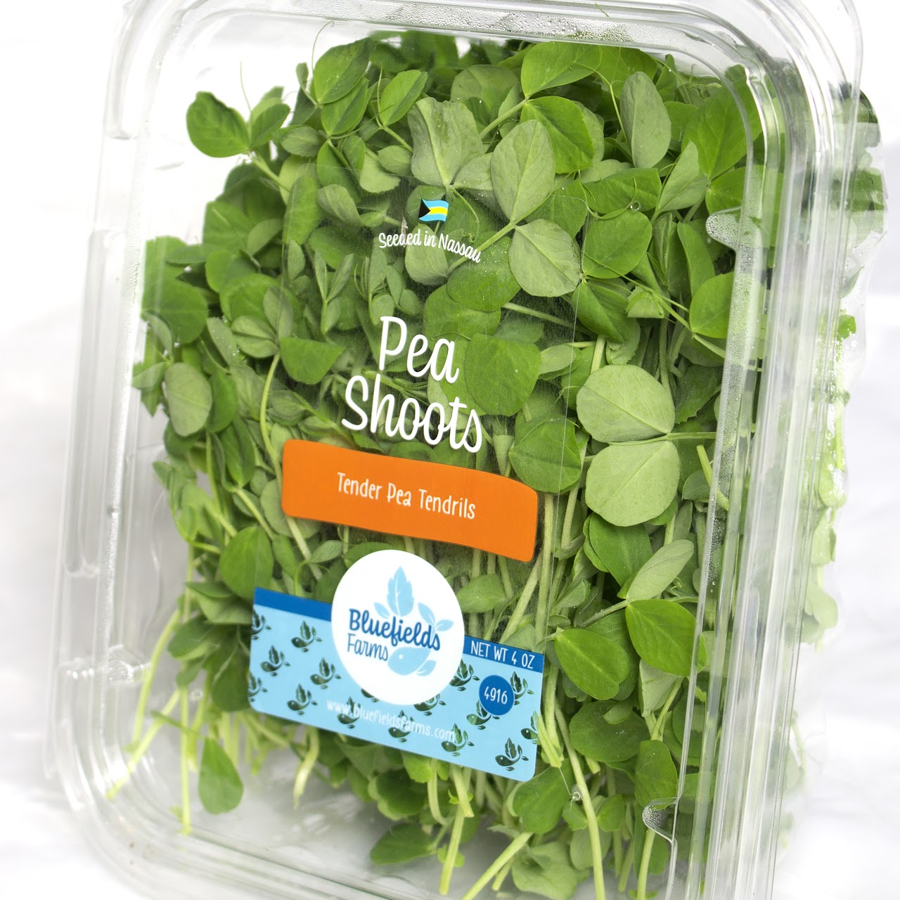 Bluefields Farms - Fresh Aquaponic & Hydroponic Produce in The Bahamas