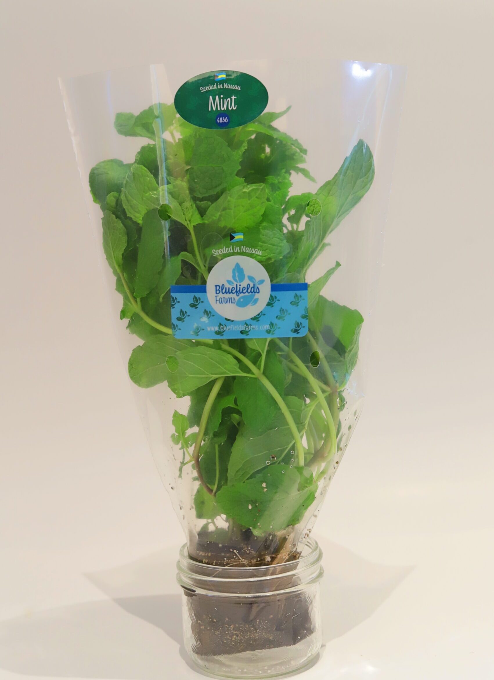 Bluefields Farms - Fresh Aquaponic & Hydroponic Produce in The Bahamas
