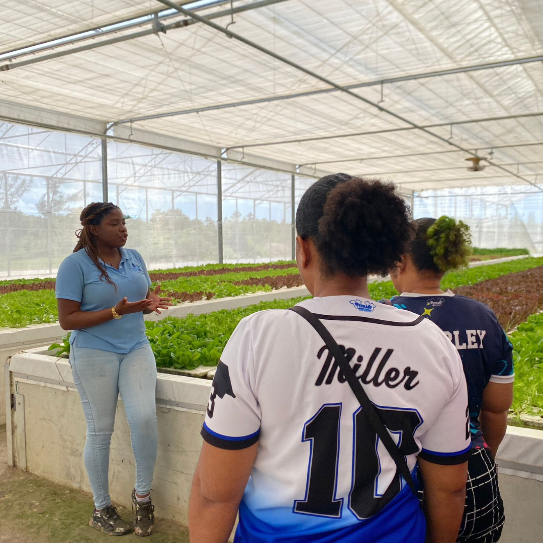 About Bluefields Farms - Sustainable Aquaponic & Hydroponic Farming