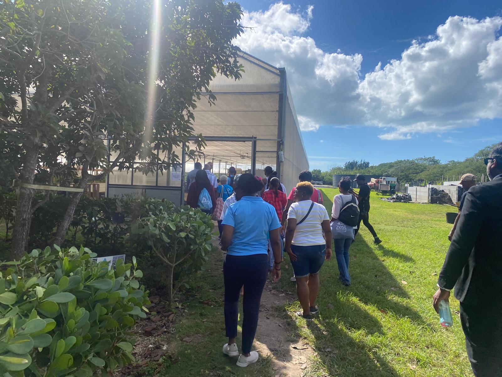 Bluefields Farms - Fresh Aquaponic & Hydroponic Produce in The Bahamas